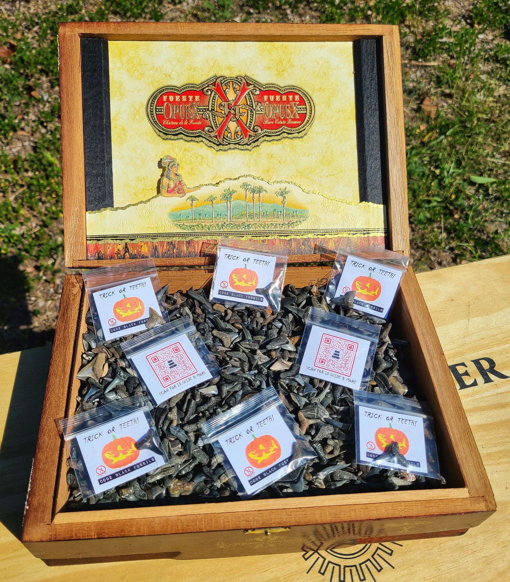 "Trick or Teeth!" Halloween Shark Tooth Cards - Code Black Fossils