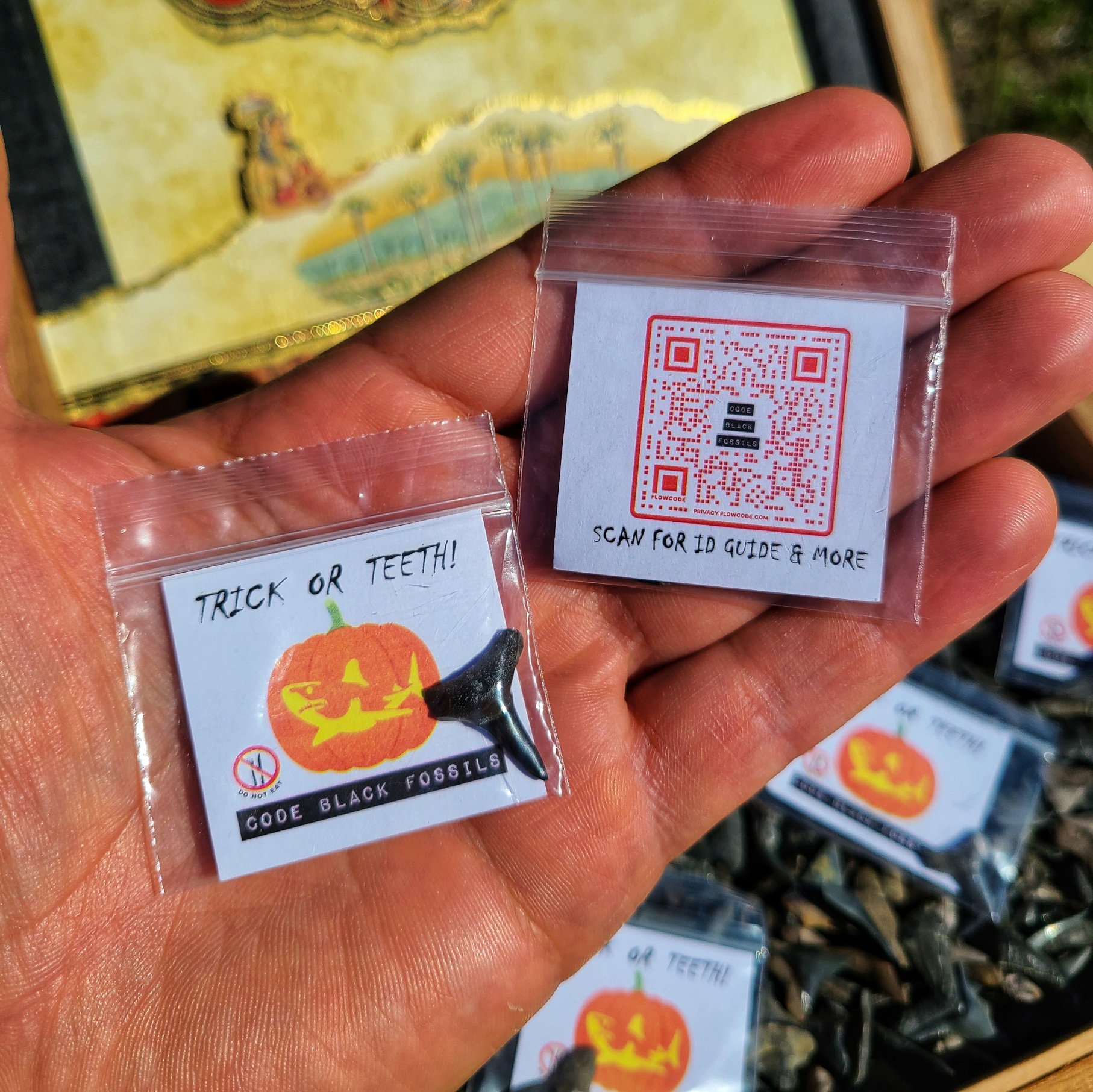 "Trick or Teeth!" Halloween Shark Tooth Cards - Code Black Fossils